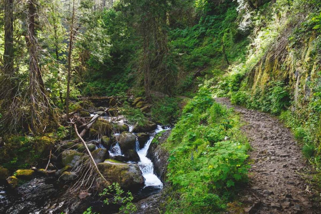 7 Waterfall Hikes in Oregon’s Cascade Range You’ll Love