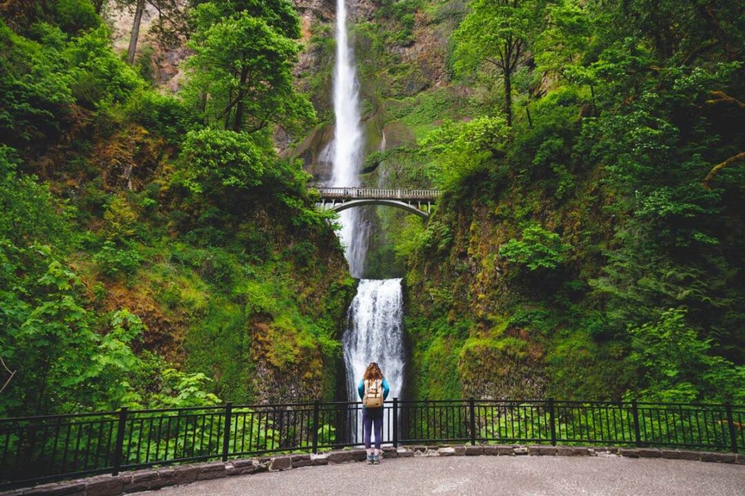 Multnomah Falls Hike: EVERYTHING You Need to Know