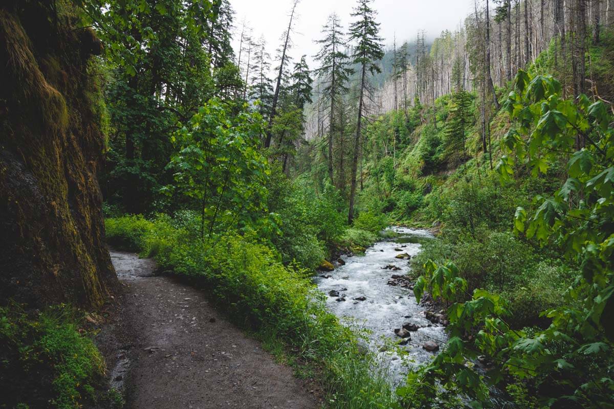 17+ Must-Visit Columbia River Gorge Waterfalls