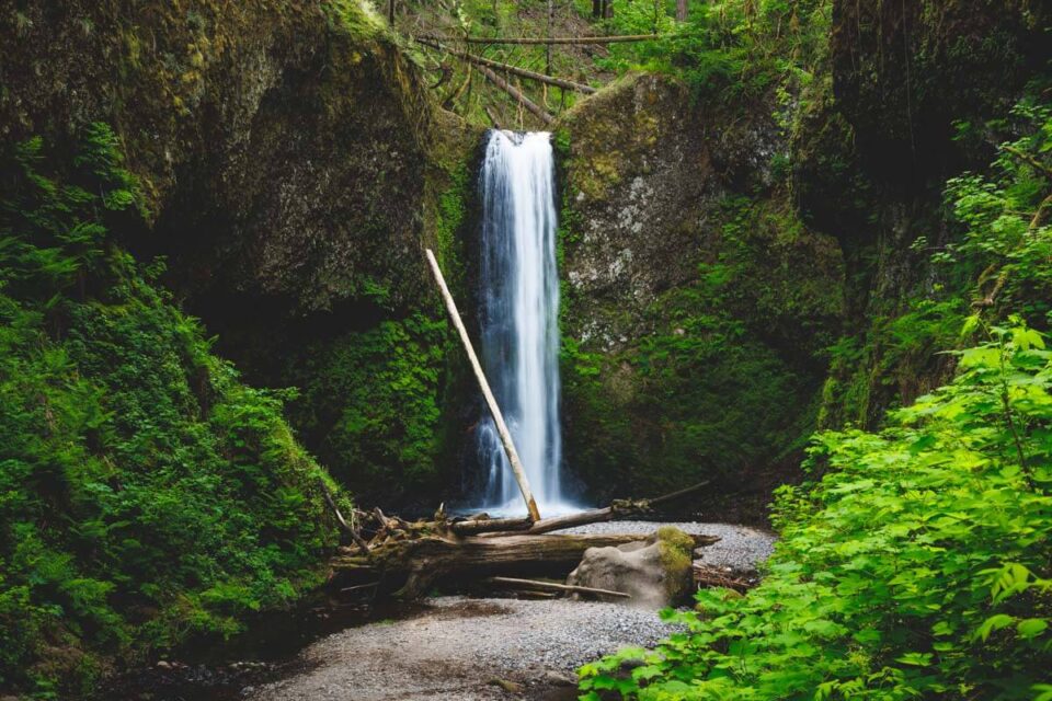 Multnomah Falls Hike: EVERYTHING You Need to Know