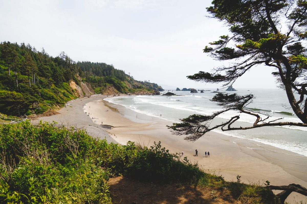Your Guide to Ecola State Park on the Oregon Coast - Oregon is for ...