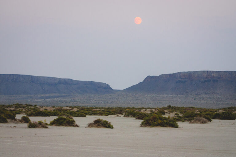 Camping at Alvord Desert: What to Know!