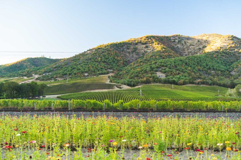 22 TOP Things to Do in Ashland, Oregon