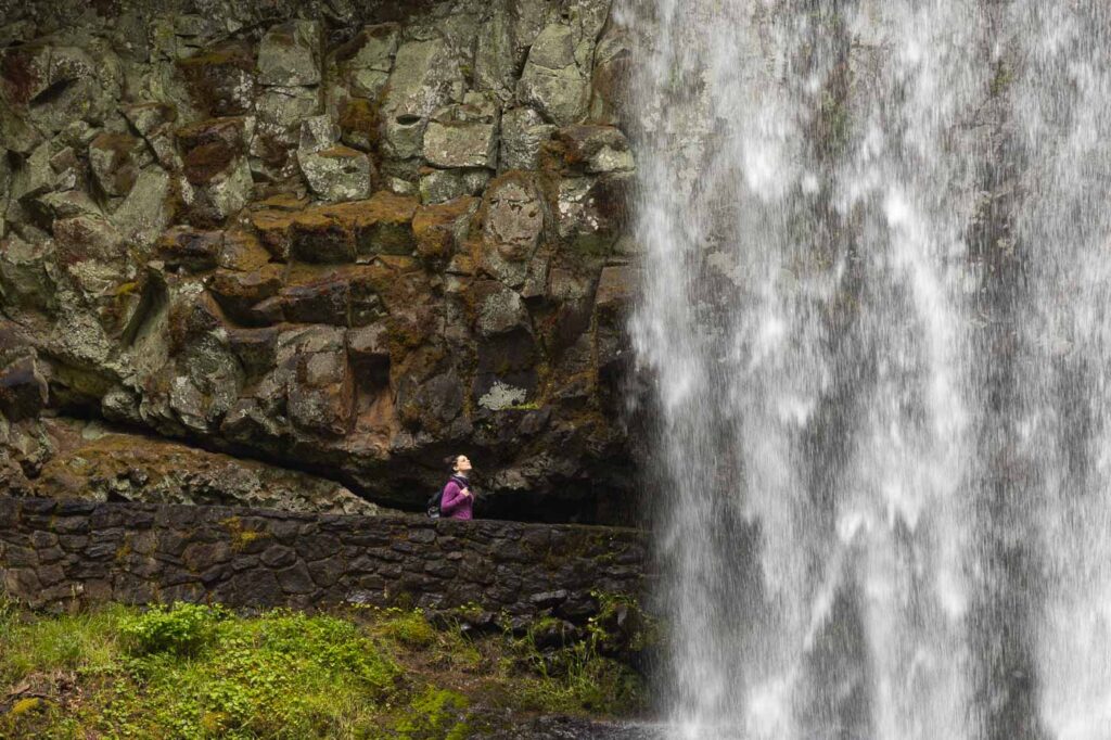 The Trail of 10 Falls in Silver Falls State Park