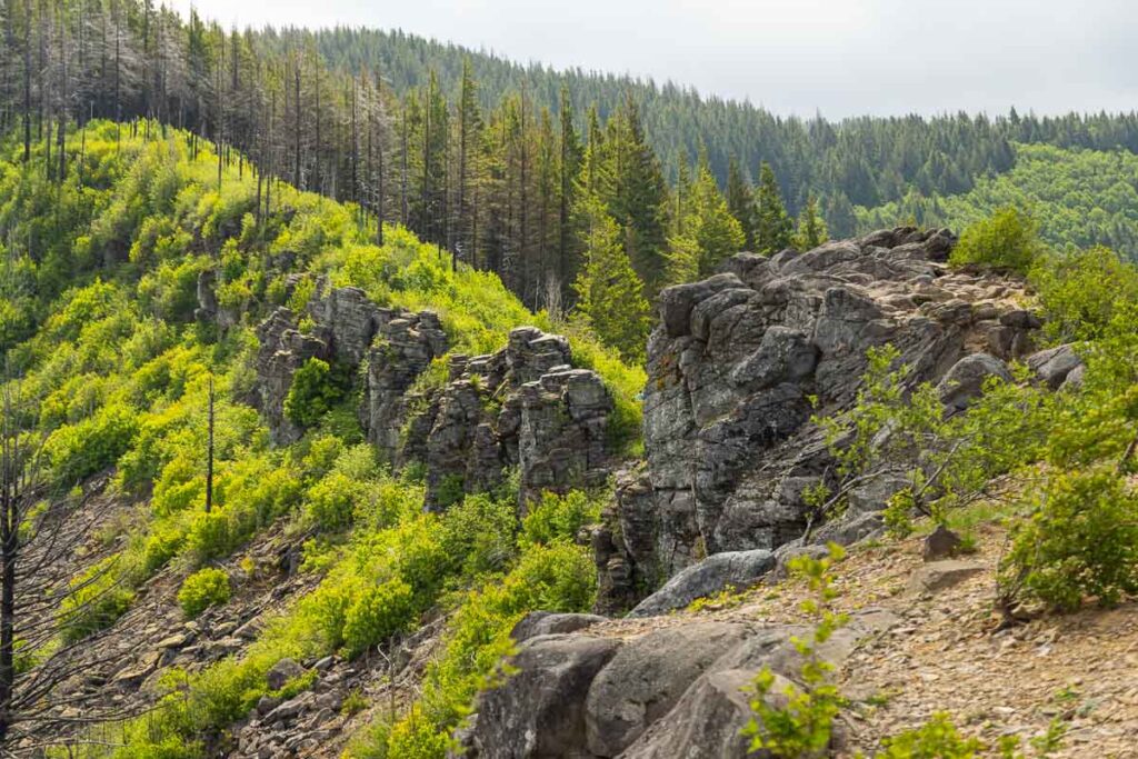 Hiking Angel’s Rest Trail: Killer Gorge Views (Oregon)