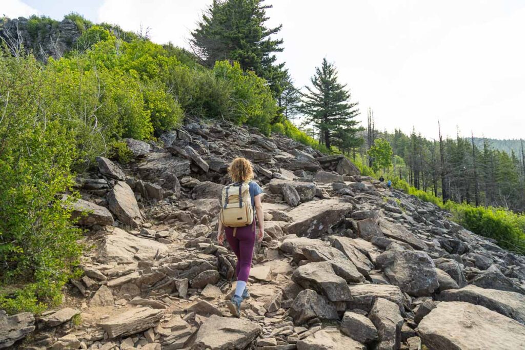 Hiking Angel’s Rest Trail: Killer Gorge Views (Oregon)