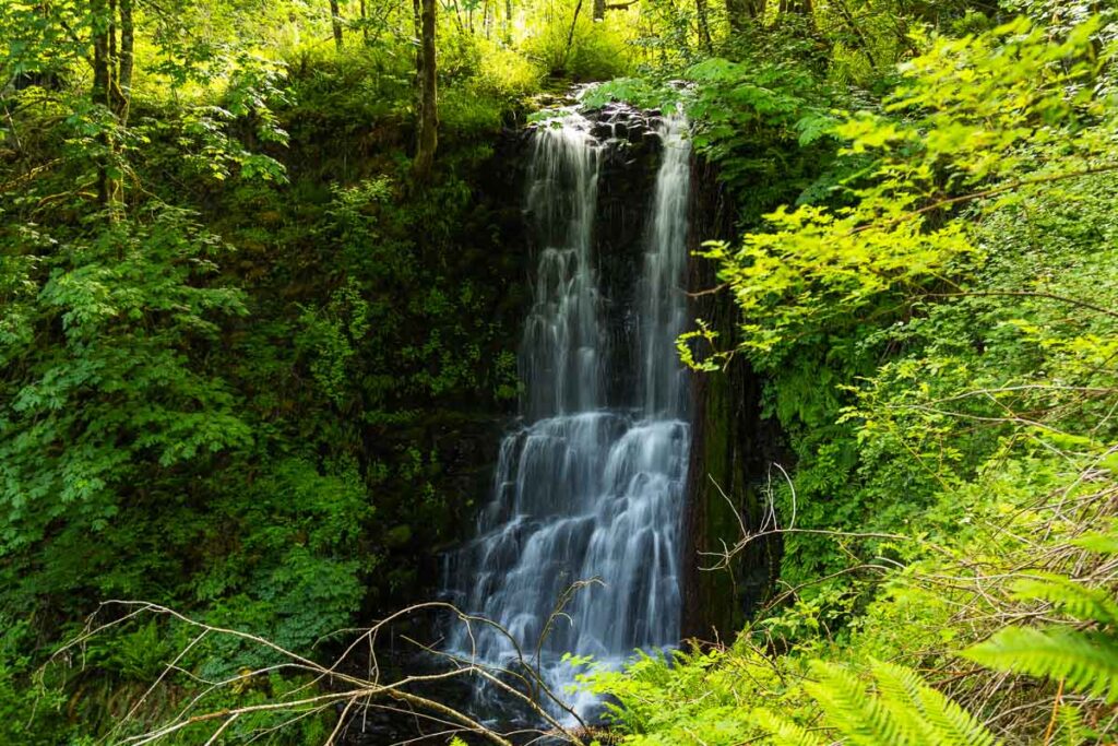 Hiking Angel’s Rest Trail: Killer Gorge Views (Oregon)