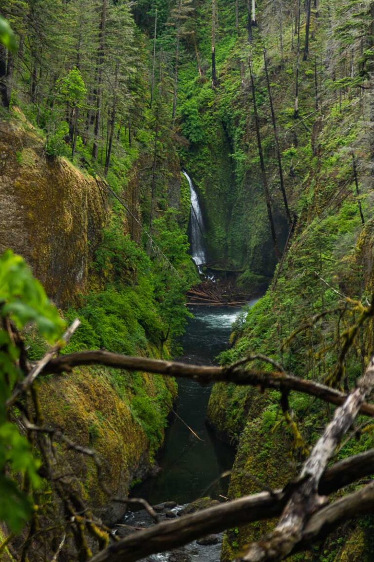 Hiking Eagle Creek Trail in Oregon—Punchbowl and Tunnel Falls!