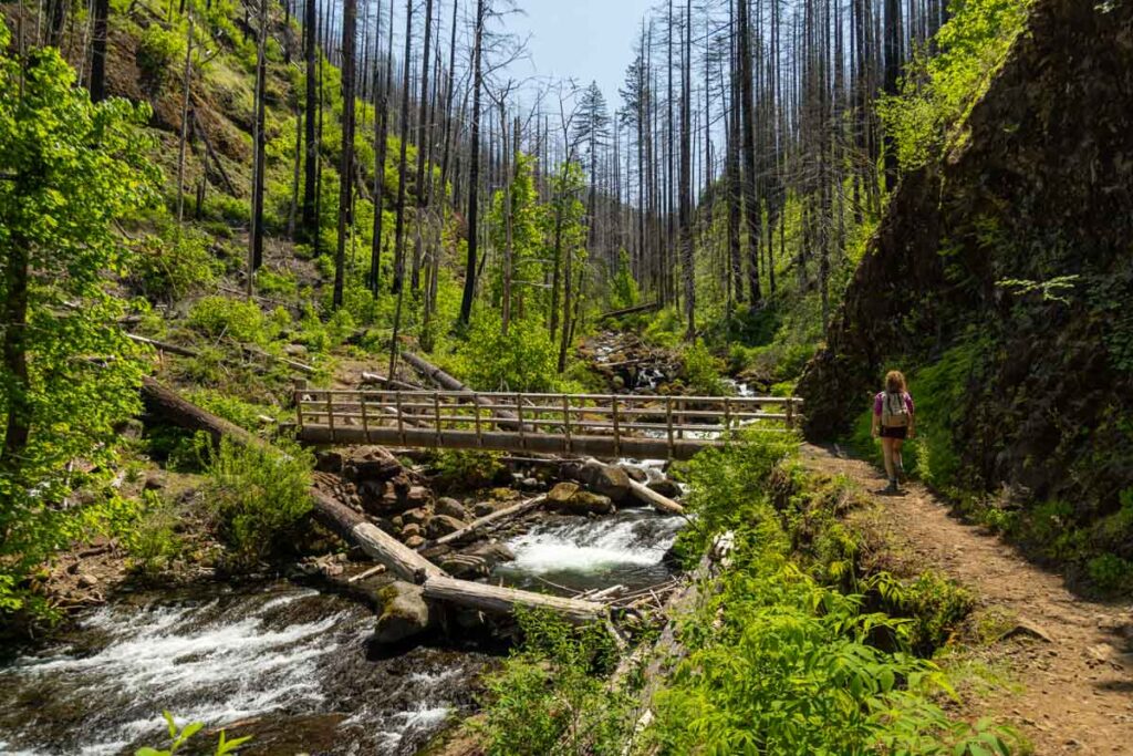 Hiking the Oneonta Trail to Triple Falls