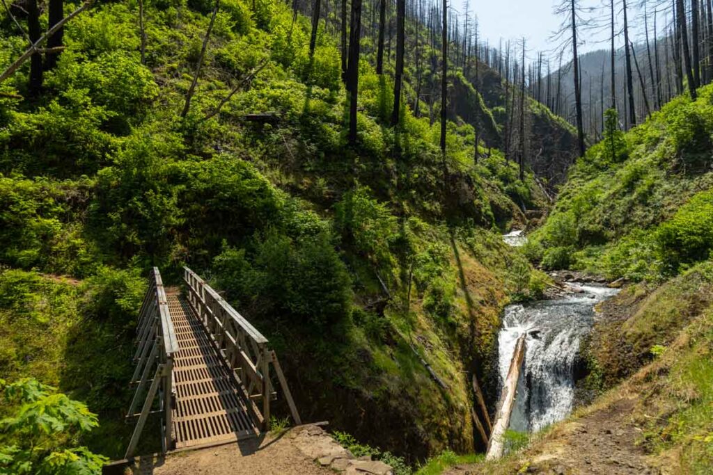 Hiking the Oneonta Trail to Triple Falls