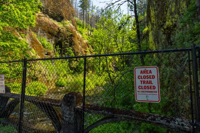 Hiking the Oneonta Trail to Triple Falls