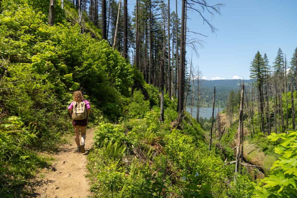 Hiking the Oneonta Trail to Triple Falls