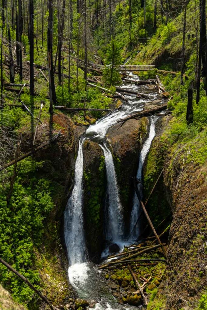 Hiking the Oneonta Trail to Triple Falls
